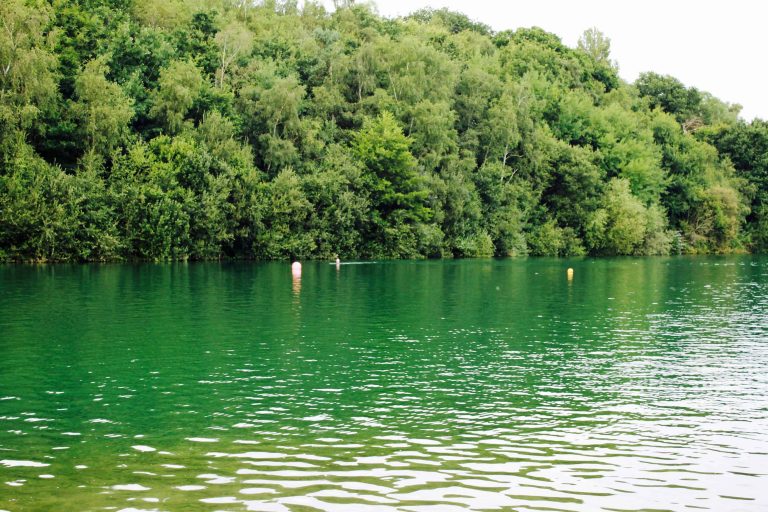 Open Water Swimming in Godstone - InTandridge